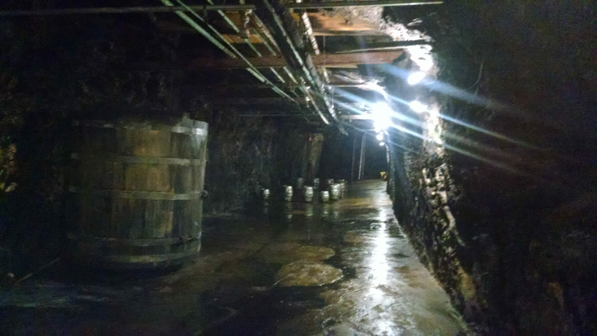 Don't Miss the Ever Satisfying Yuengling Brewery Tour - Crazy Family ...