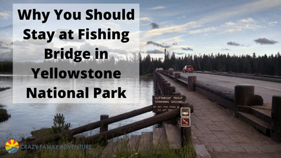 Why you should stay at Fishing Bridge in Yellowstone